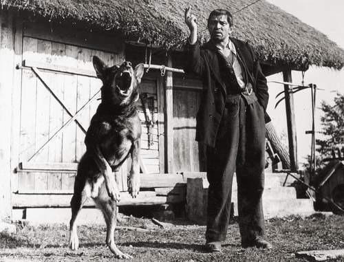 lfc.lt - Lietuvių filmų centras